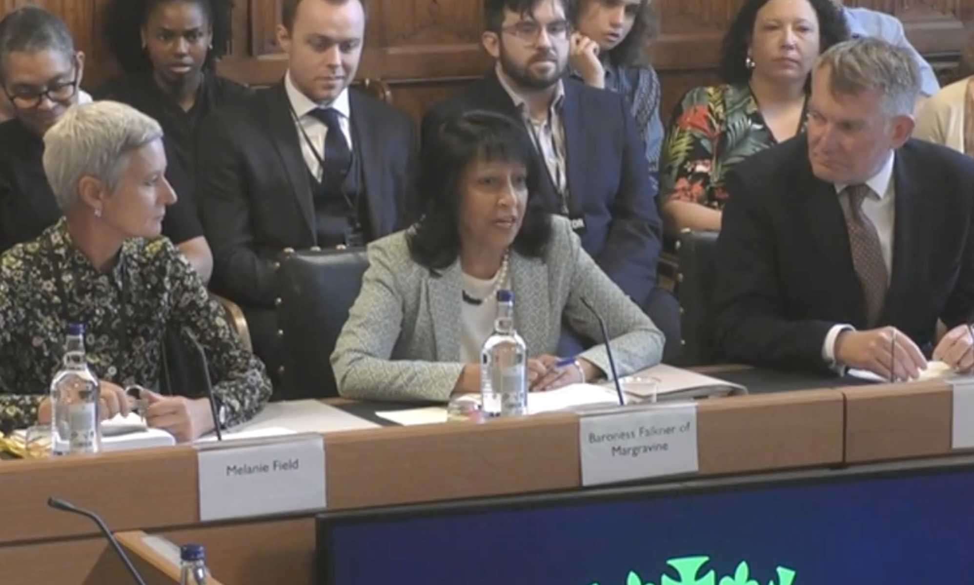 EHRC chair says definition of sex government's job to decide