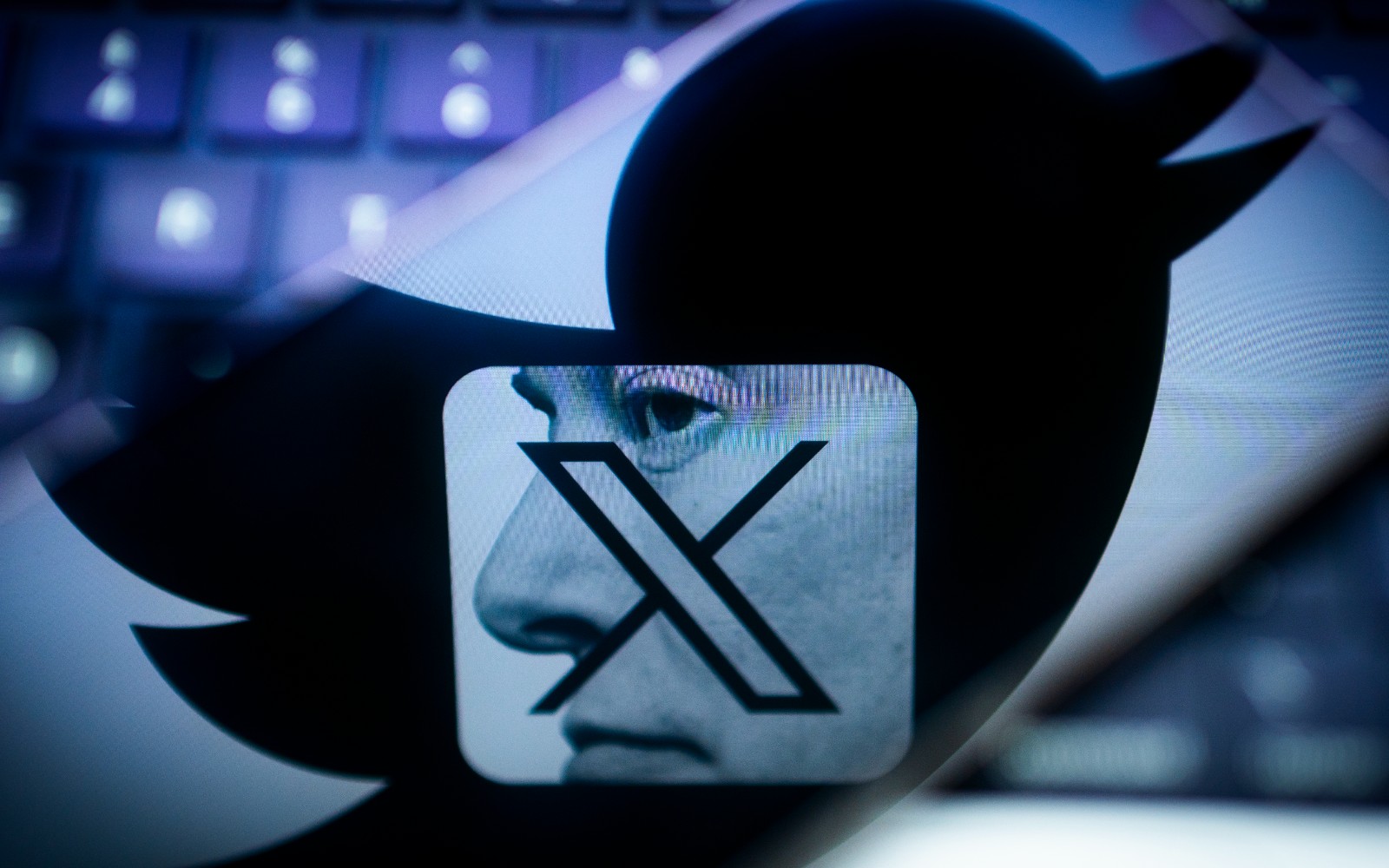 Elon Musk Twitter: what you need to know about disastrous 'X' rebrand