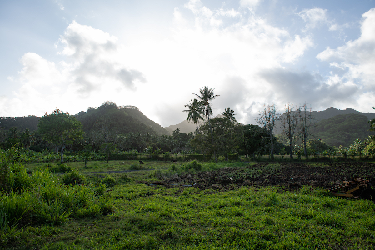 How the Cook Islands fought for LGBTQ rights
