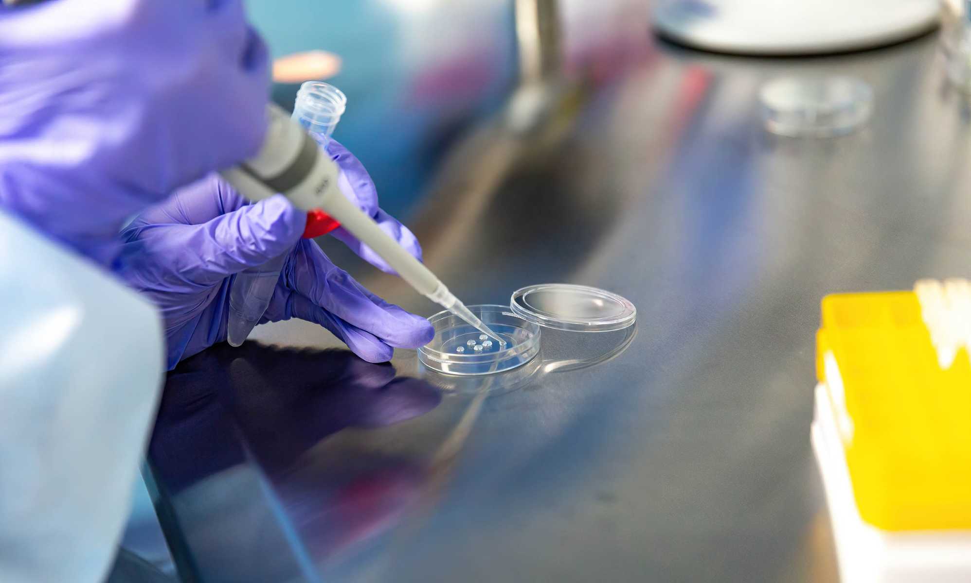 Government guidance reveals NHS IVF postcode lottery for same-sex couples