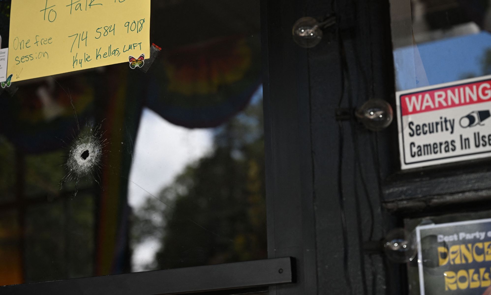 Pride flag shooting: Lauri Carleton killer had history of homophobic ...