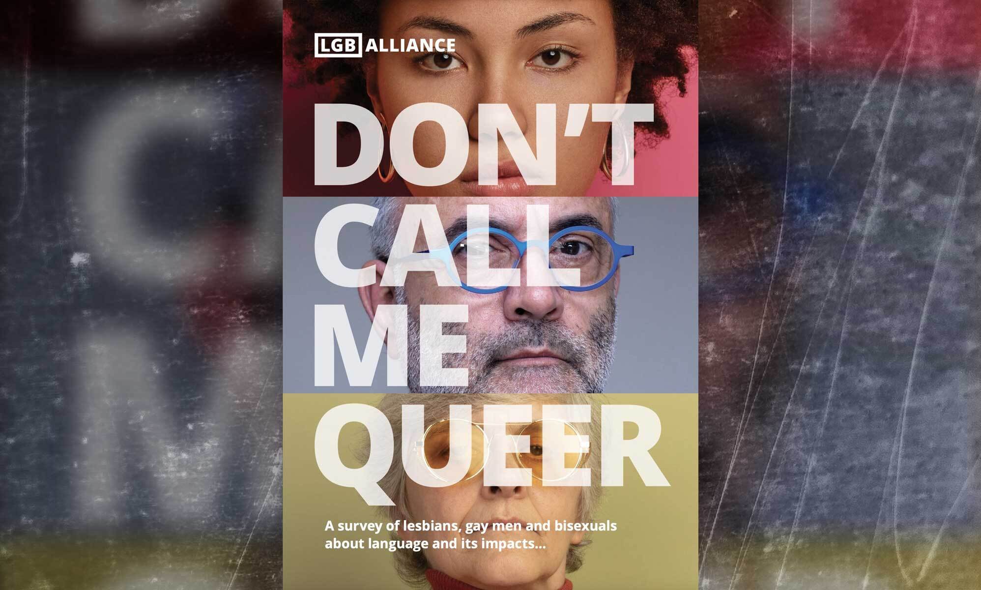 The wildest claims in LGB Alliance's report against the word 'queer'