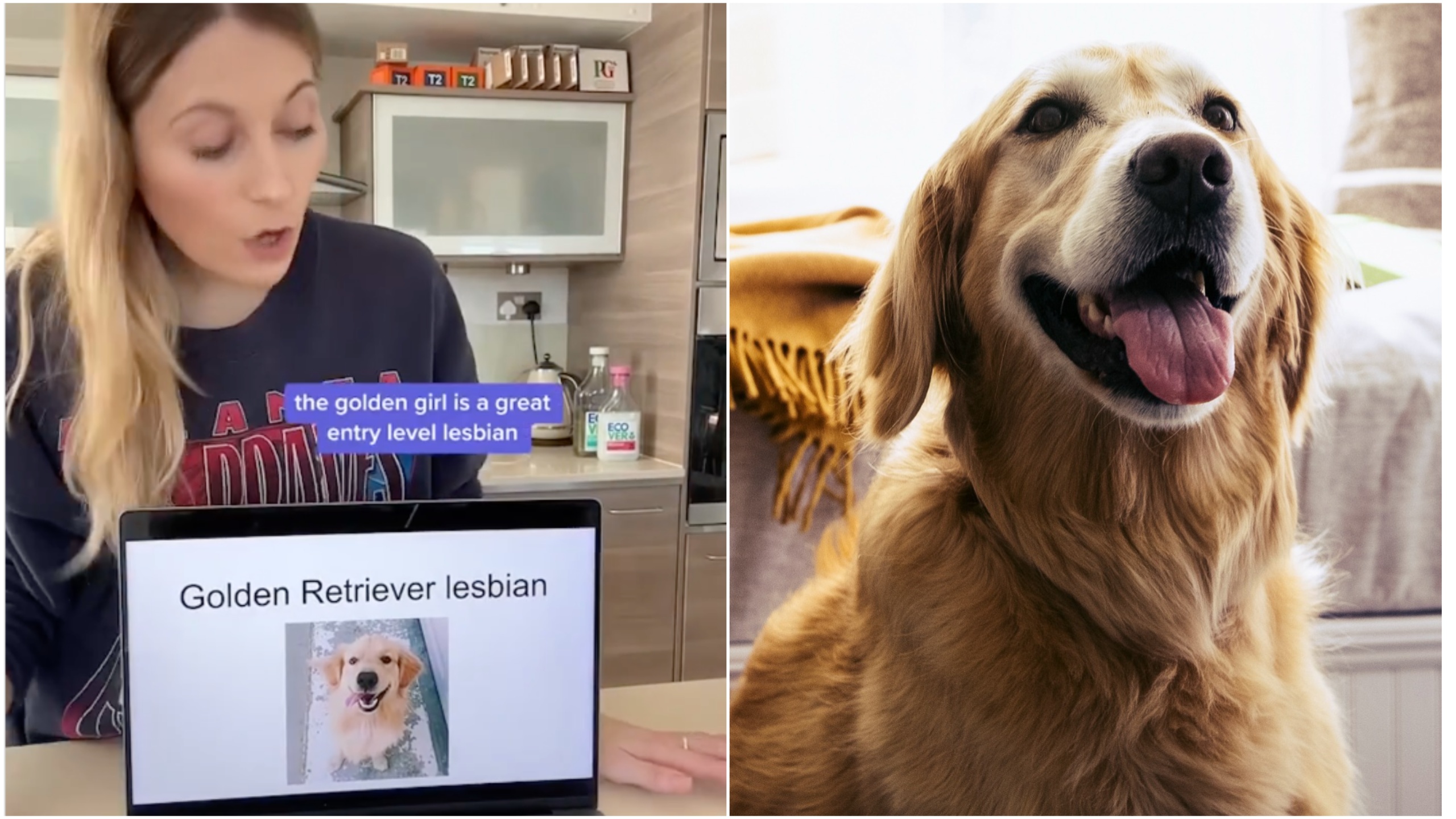 What exactly is a 'golden retriever lesbian'? | PinkNews