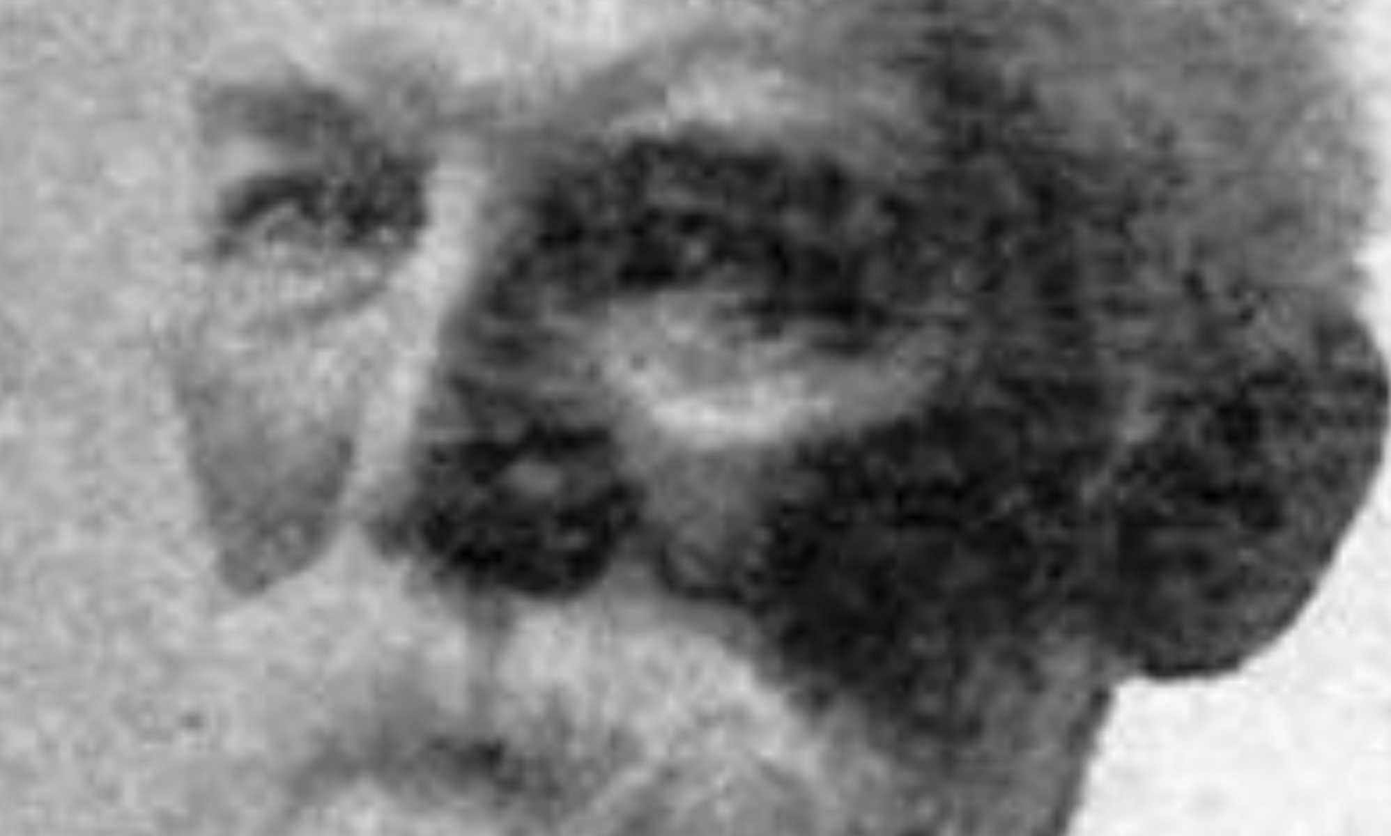 X-Men's Mystique named as Nightcrawler's father in gender twist