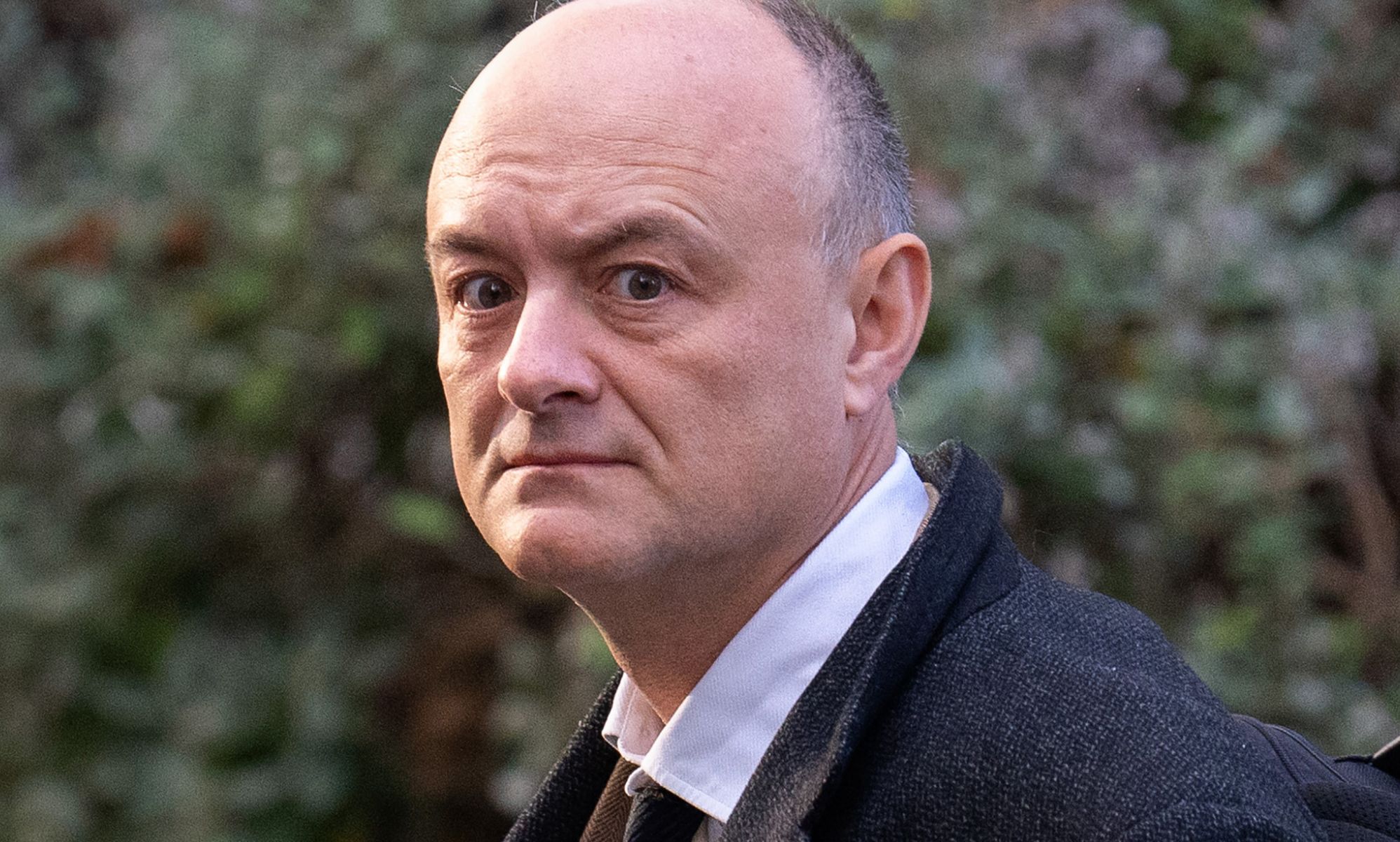 Dominic Cummings claims 'trans does not exist' in online tirade