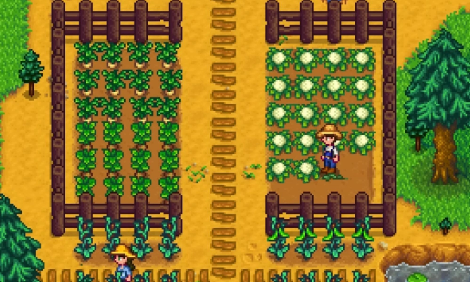 Transphobes are doxxing Stardew Valley fans over pronouns