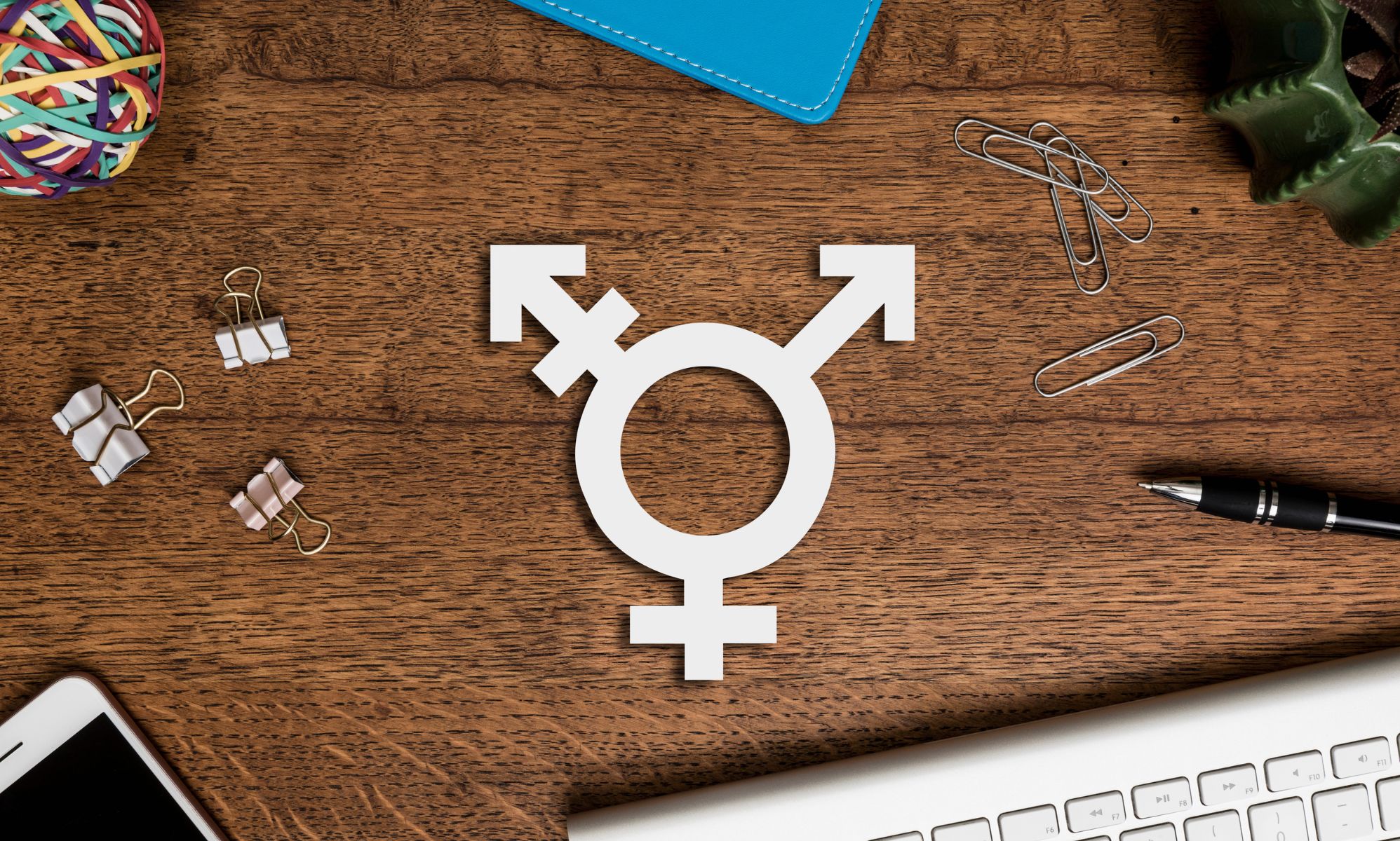 Trans+ History Week 2026 to coincide with vital trans anniversary