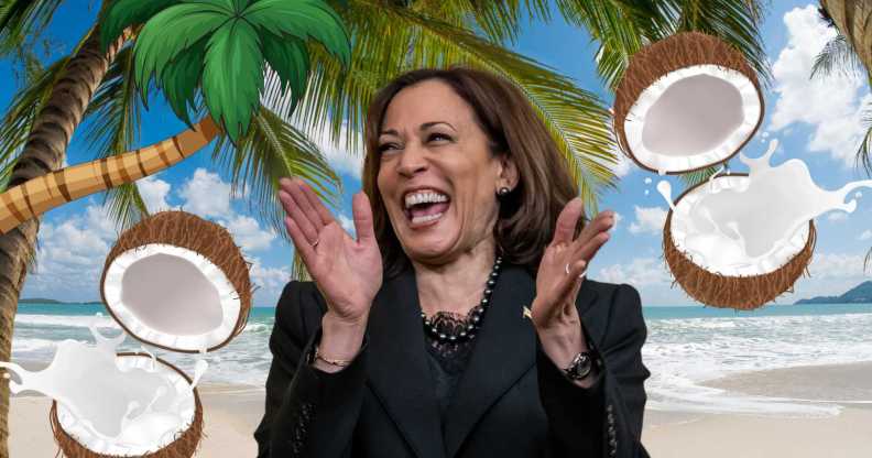 What is the Kamala Harris coconut tree meme and where's it from?