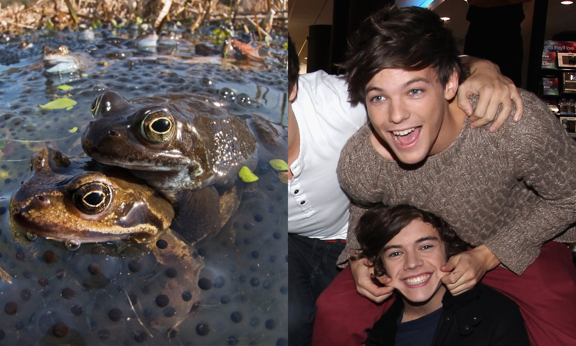 What is transvestigating and why is it so harmful? | PinkNews