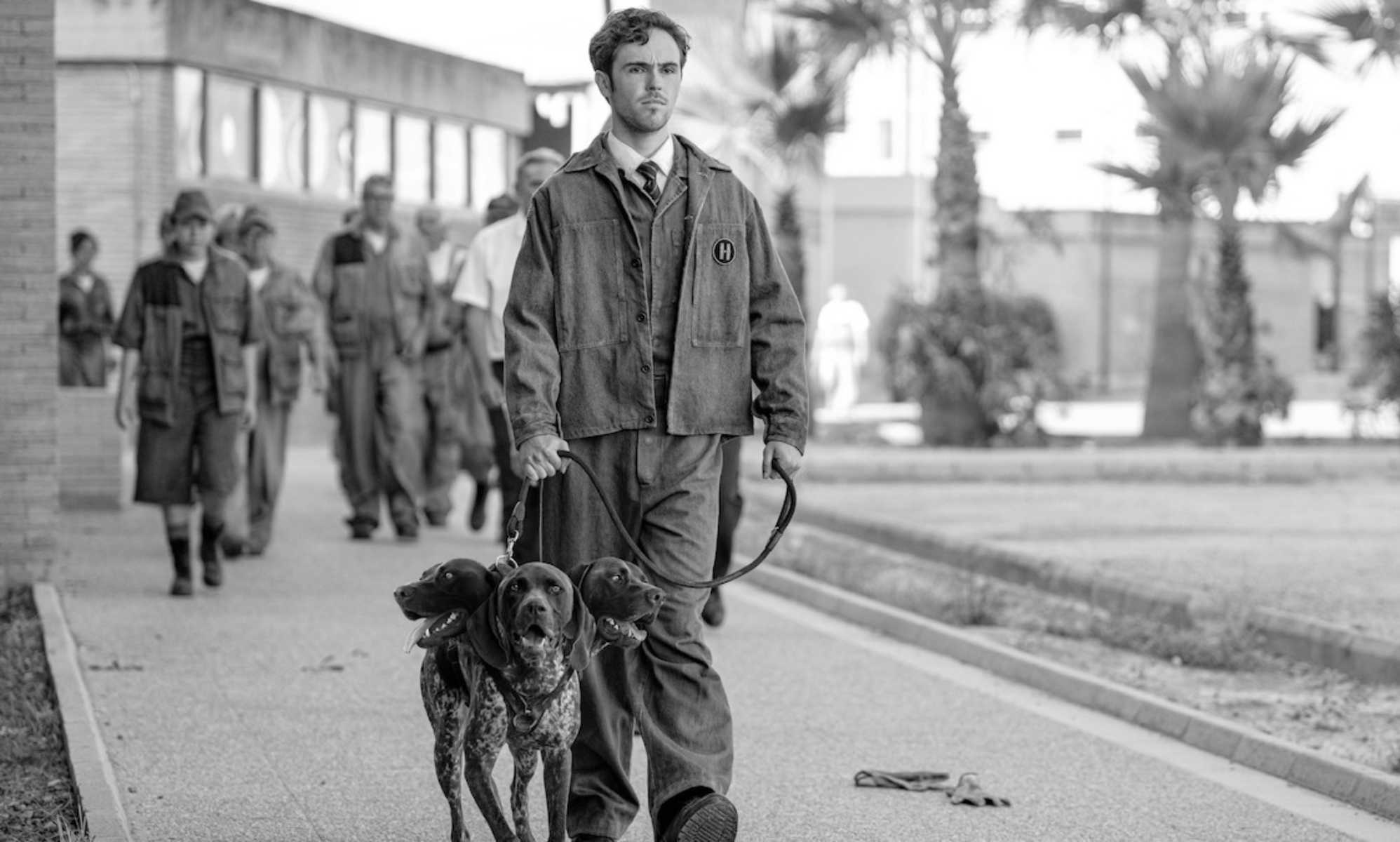 Kaos star reveals how set of Netflix hit became trans 'safe space'