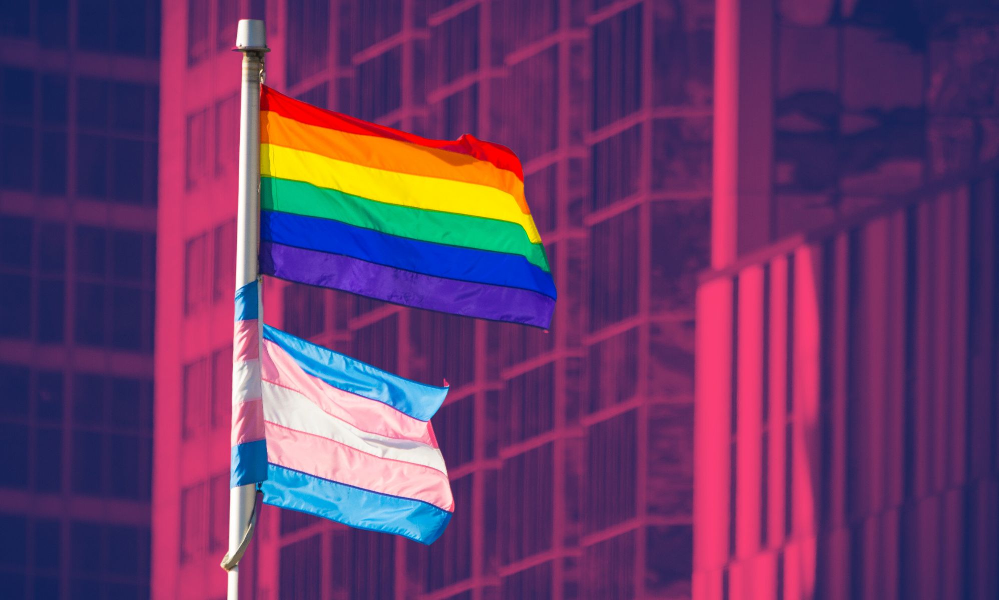 Six times human rights laws helped LGBT equality | PinkNews
