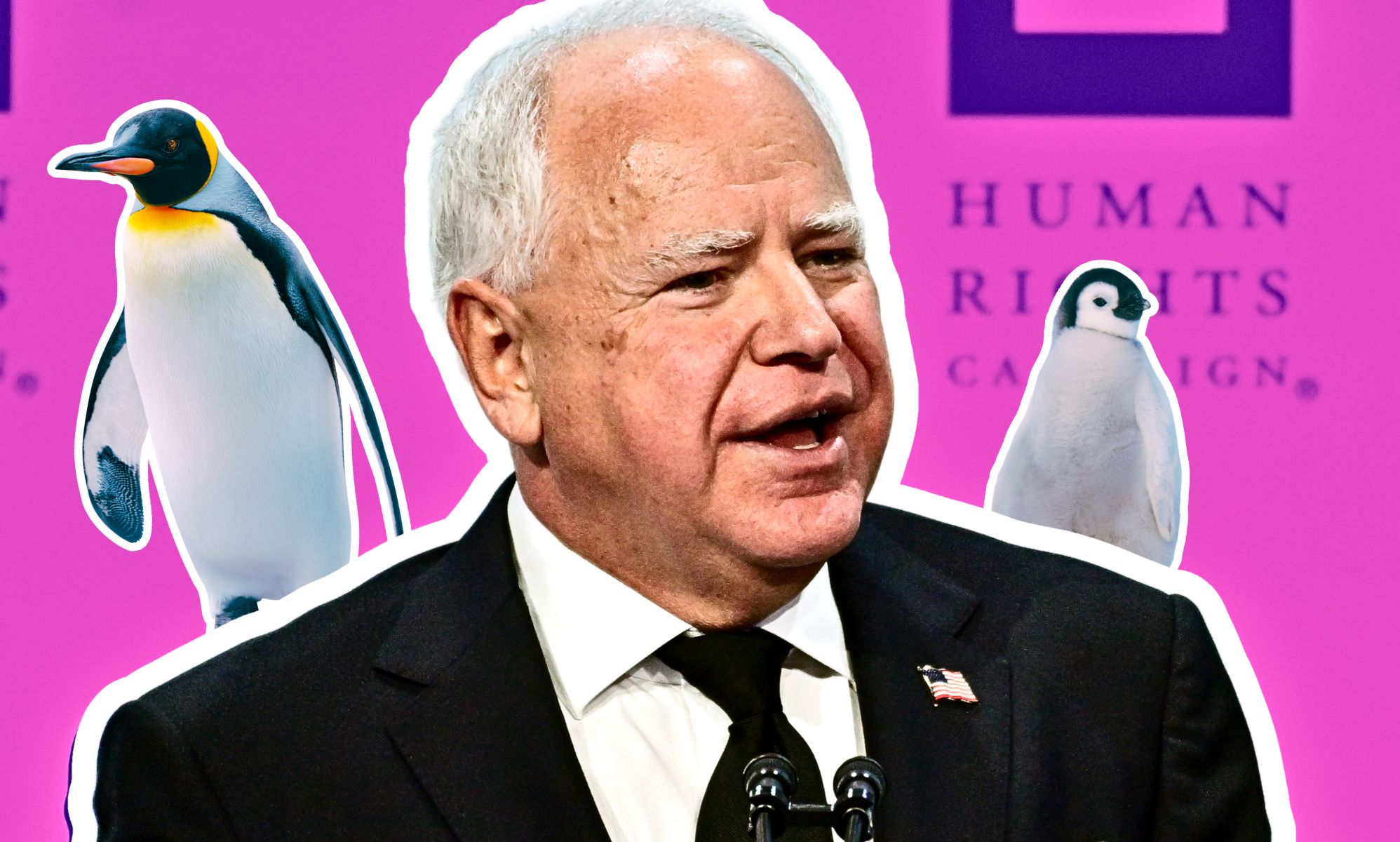 Discord linked to shooting suspect Colt Gray contains anti-trans content