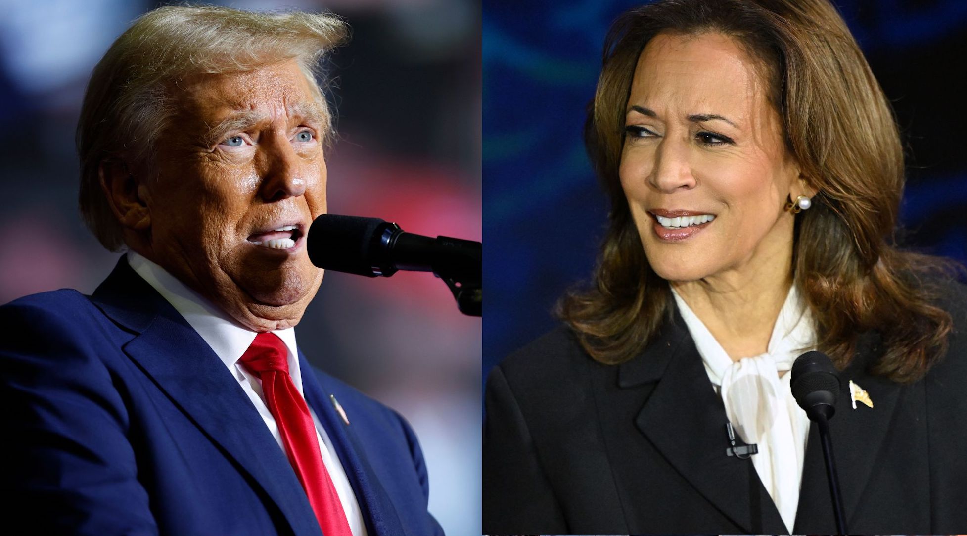 Voter ID law: What trans and non-binary people need to know