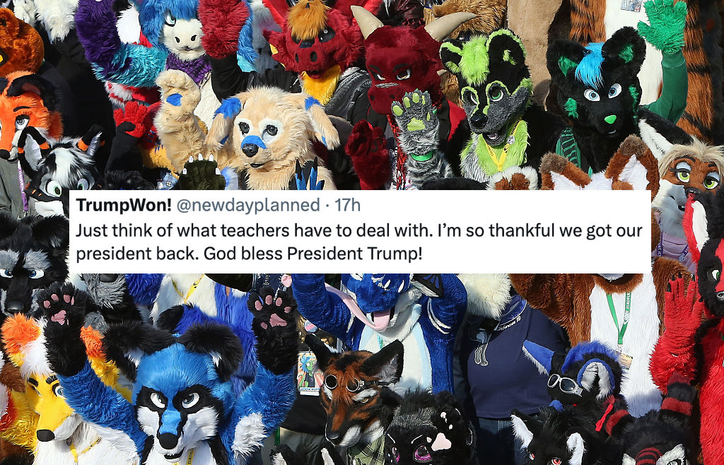 Texas introduces 'Furries Act' after falling for school litter box hoax