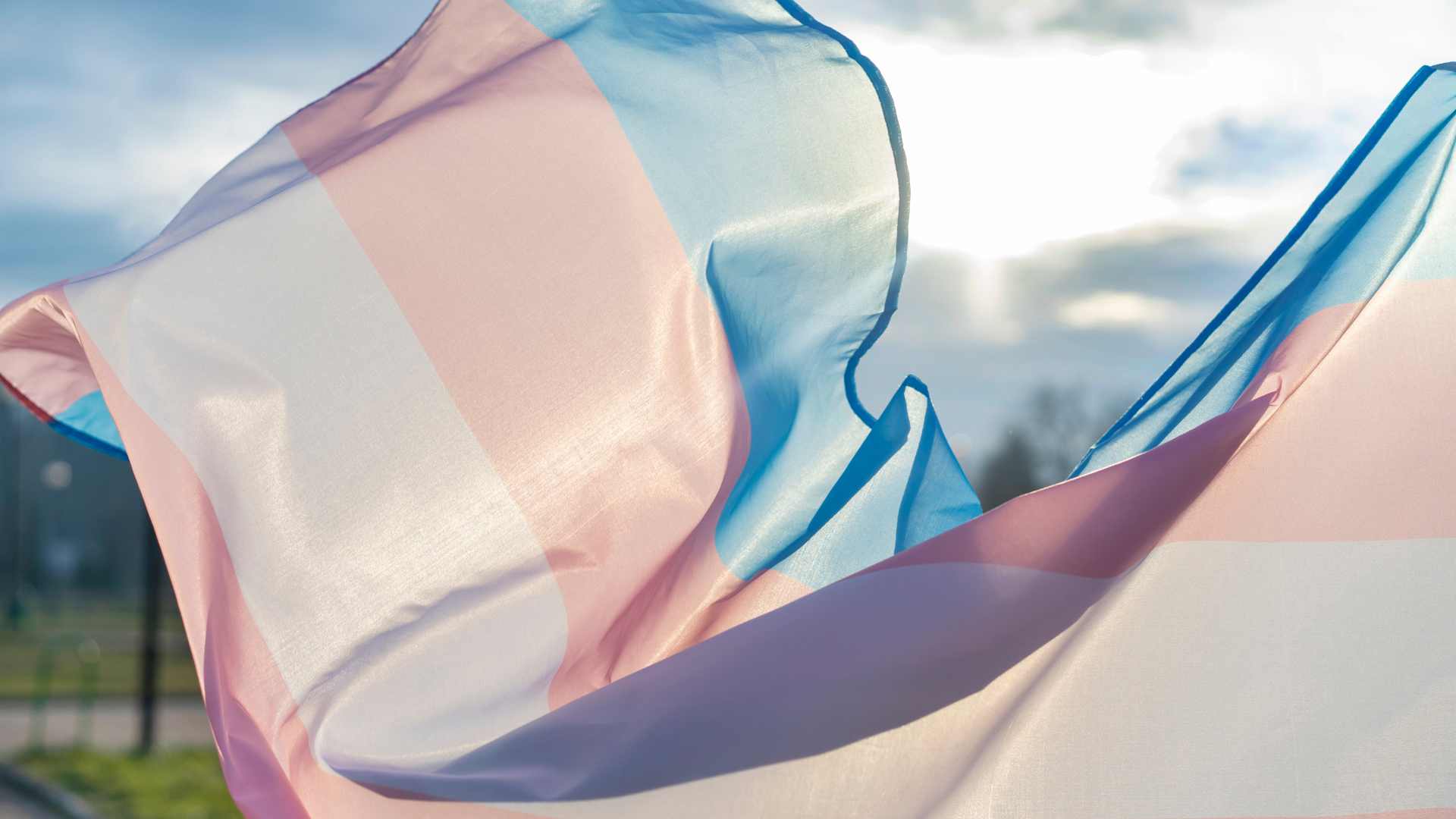 Trans healthcare working group finds Cass report is 'deeply flawed'