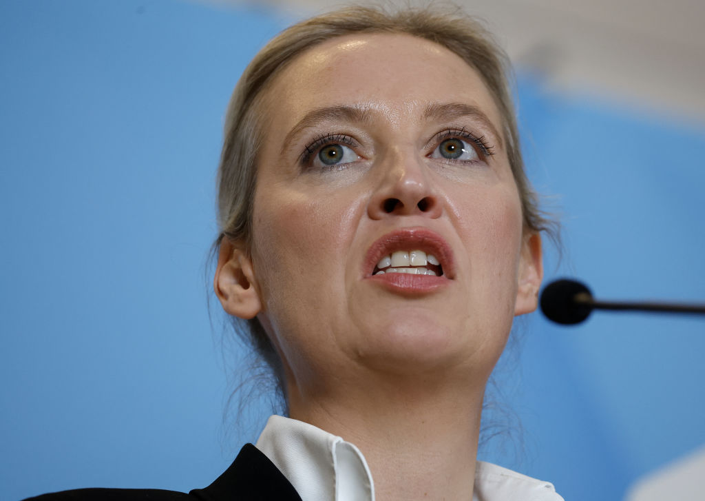 All the facts about AfD leader Alice Weidel and her girlfriend