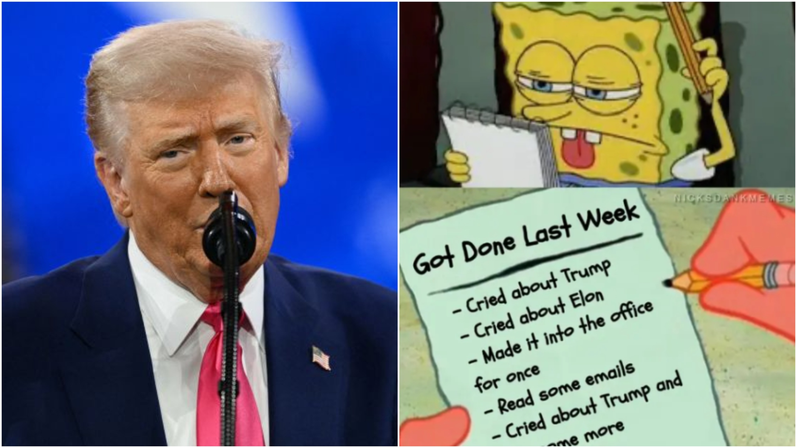 Trump mocks under-threat federal workers with Spongebob meme