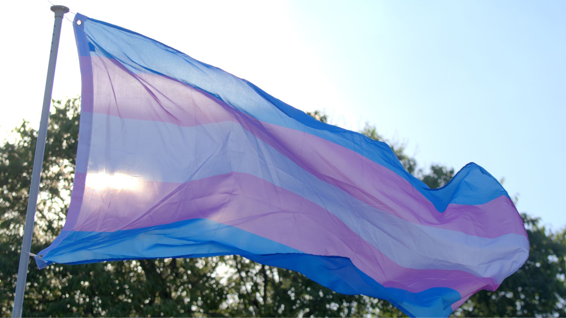 Pride in London 2023 to call for trans solidarity