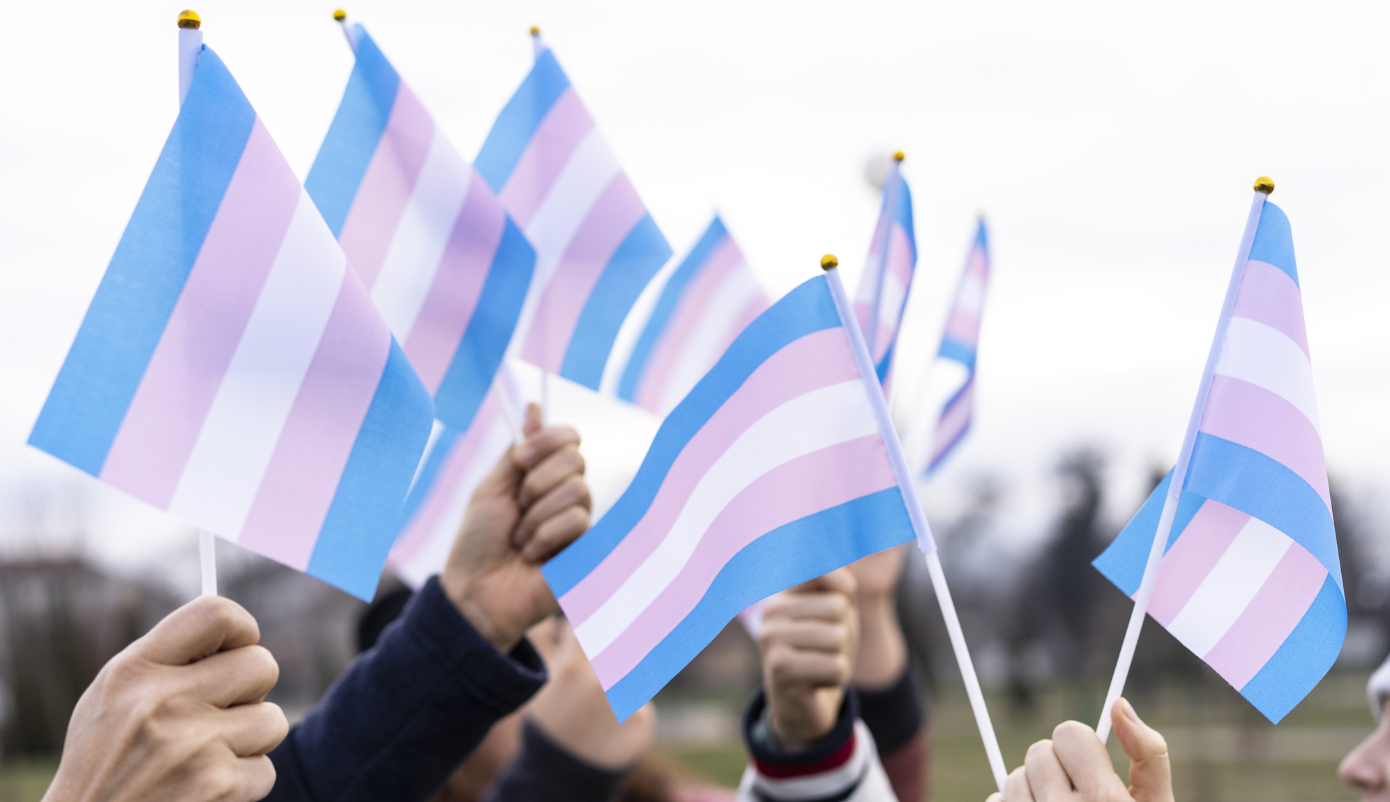 60,000 cisgender women write powerful open letter in support of trans ...