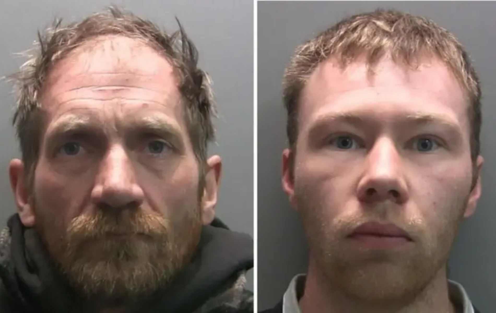 Sycamore Gap trial: Men were questioned in homophobia case