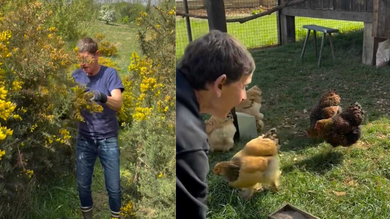 Ellen DeGeneres shares glimpse into life as a 'farmer' in England