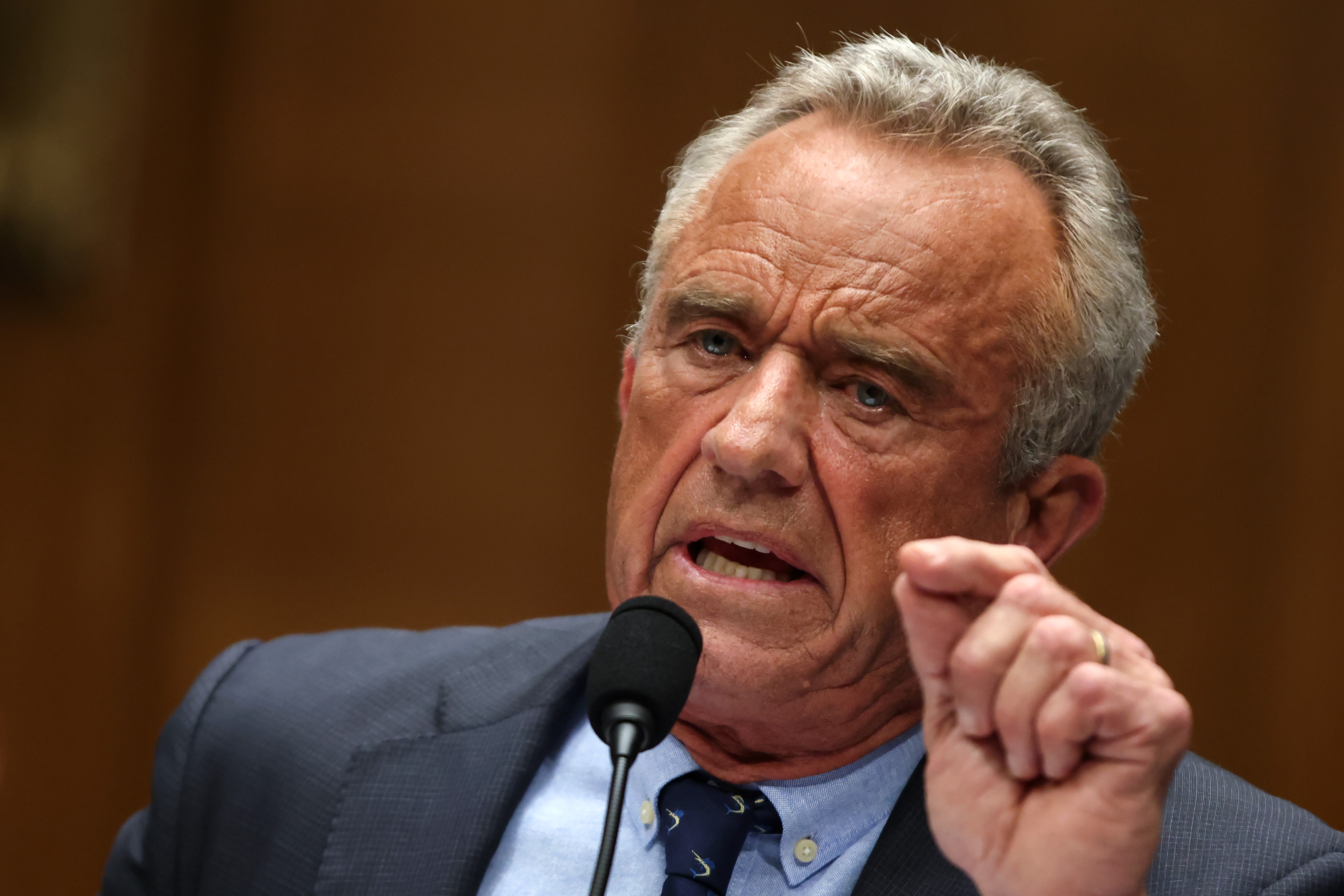 Trans pool player Harriet Haynes fights ban from women's events