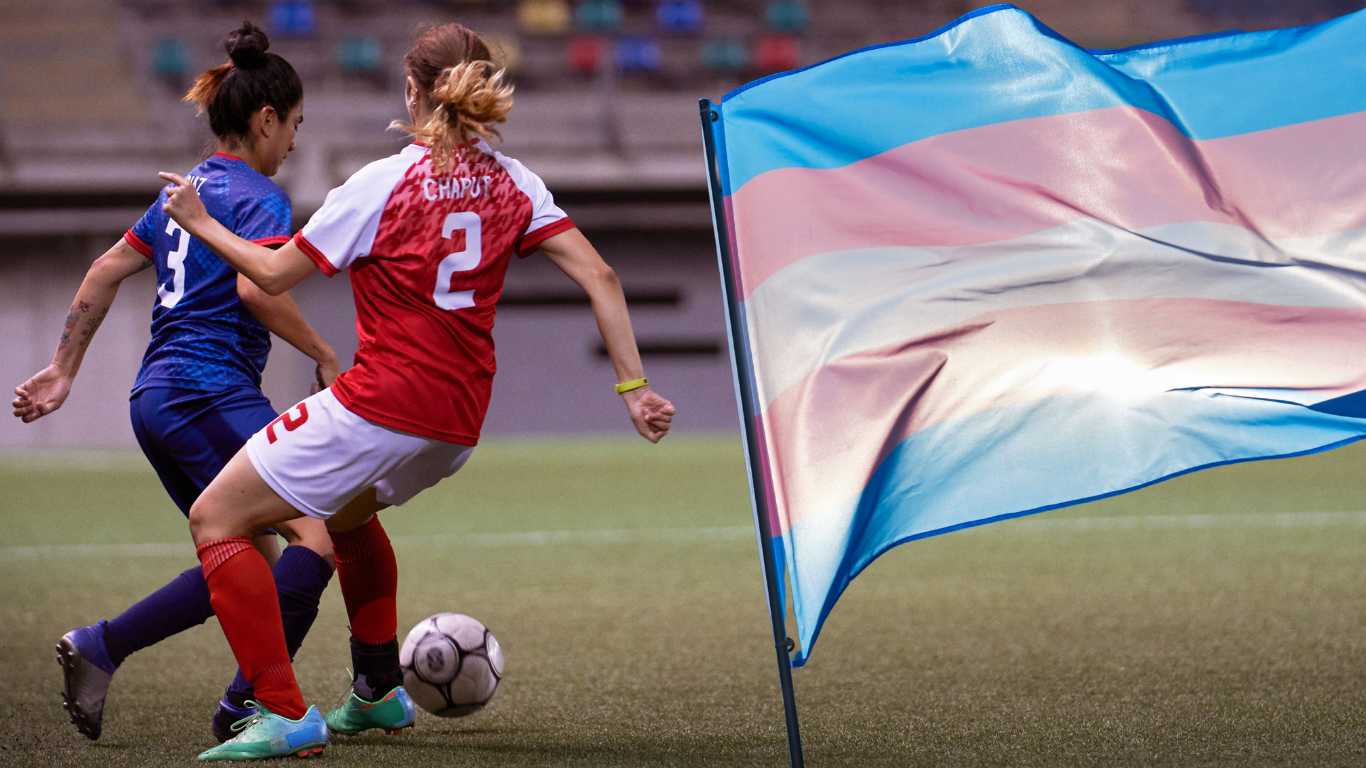 Chess regulator bans trans women from competitions for two years