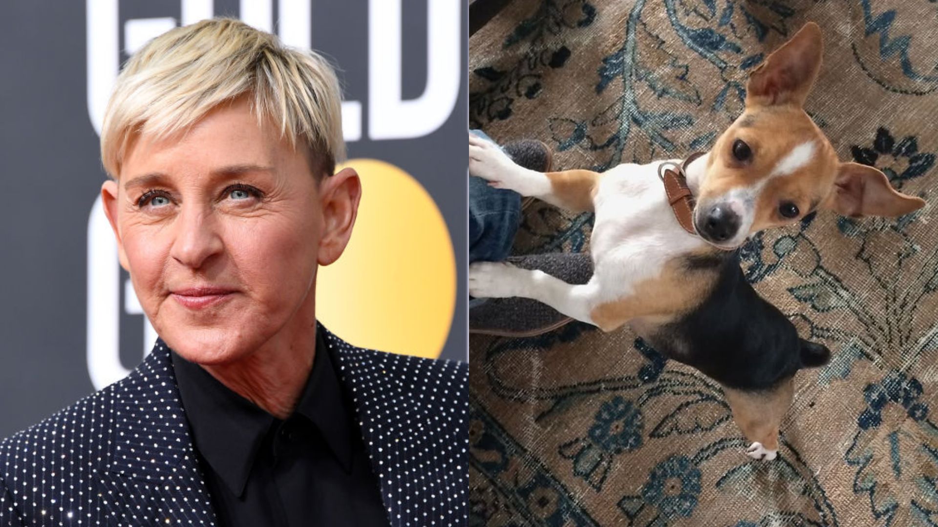 'I'm happy': Sam Smith tells Ellen DeGeneres about romance with 13 ...