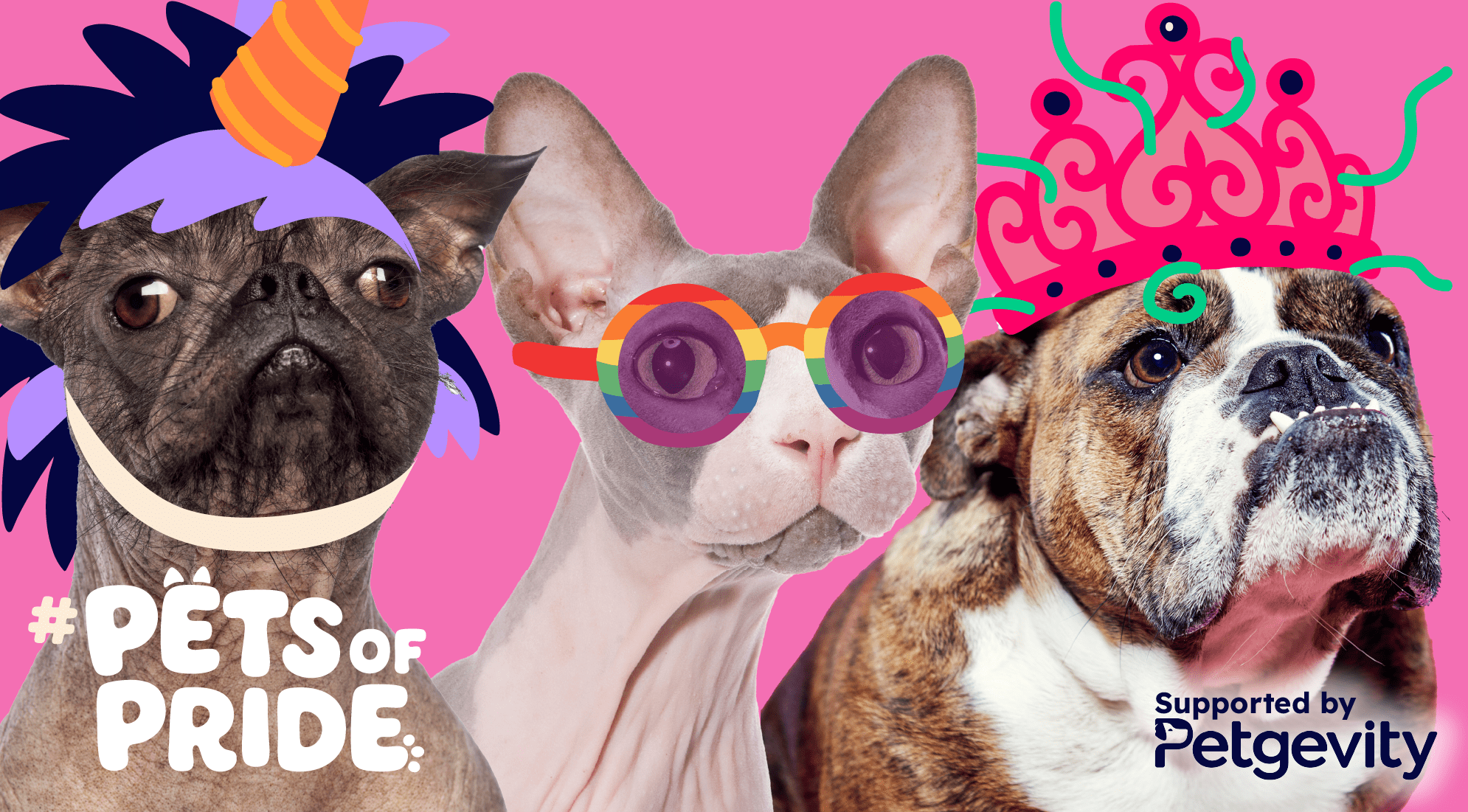 Petgevity's inclusive pet insurance means no one is an underdog