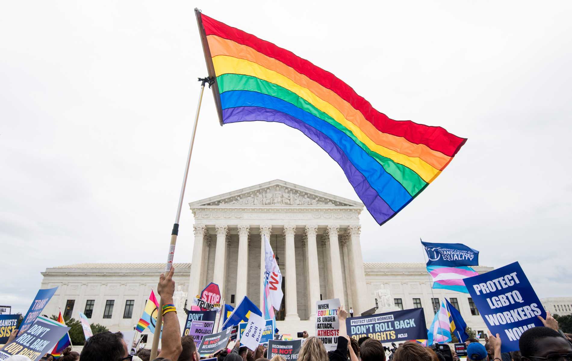 What is the plus in LGBTQ+ and what do the letters stand for?