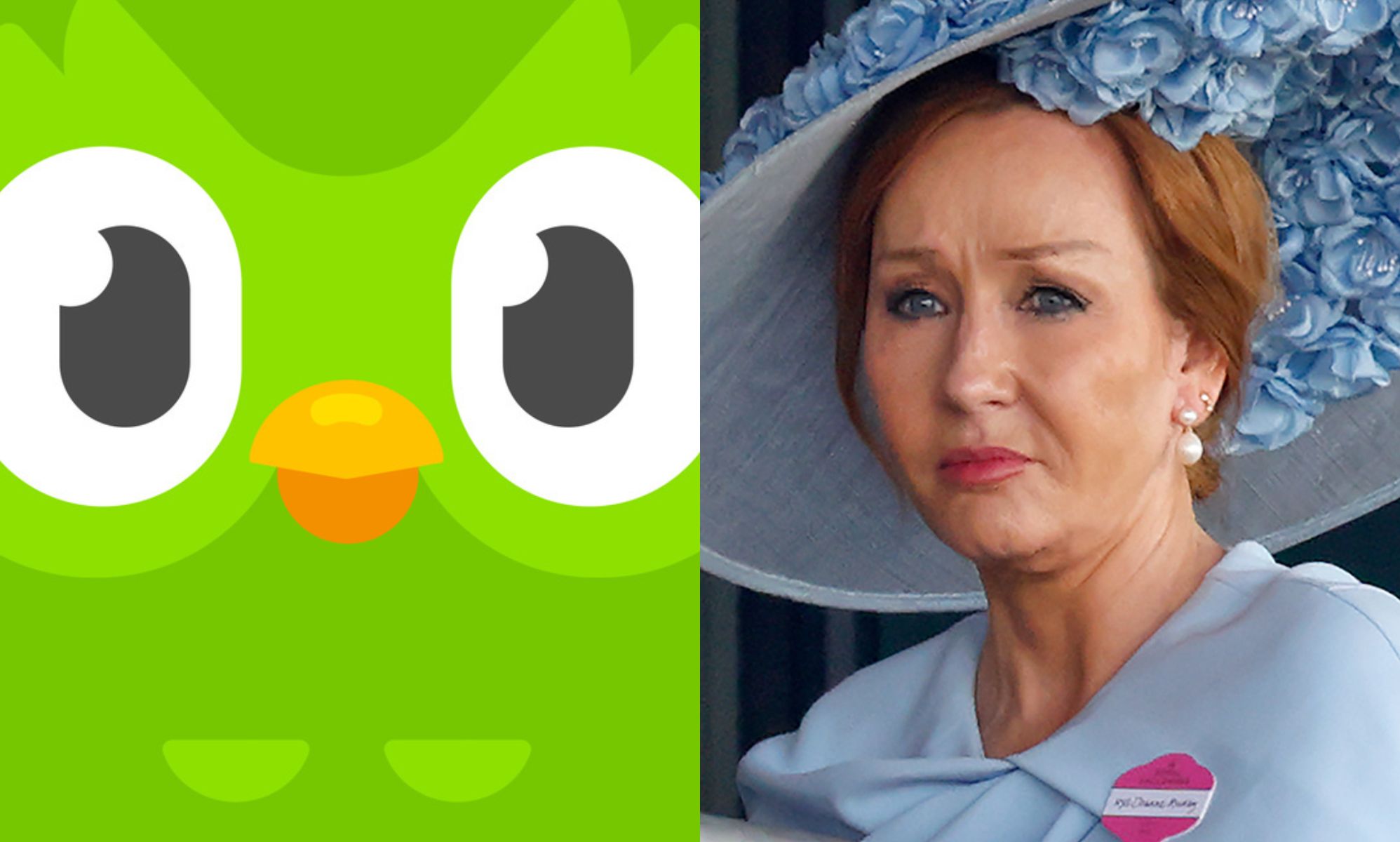 Asexuality activist responds JK Rowling's latest comments