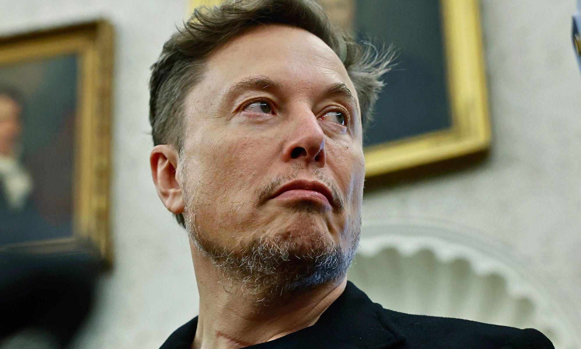 Everyone Hates Elon group goes viral with epic anti-Musk posters