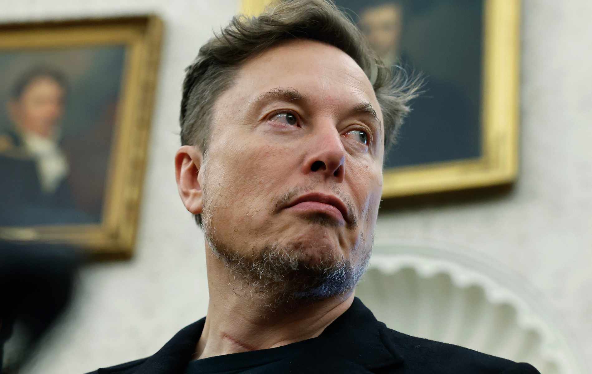 Everyone Hates Elon group goes viral with epic anti-Musk posters