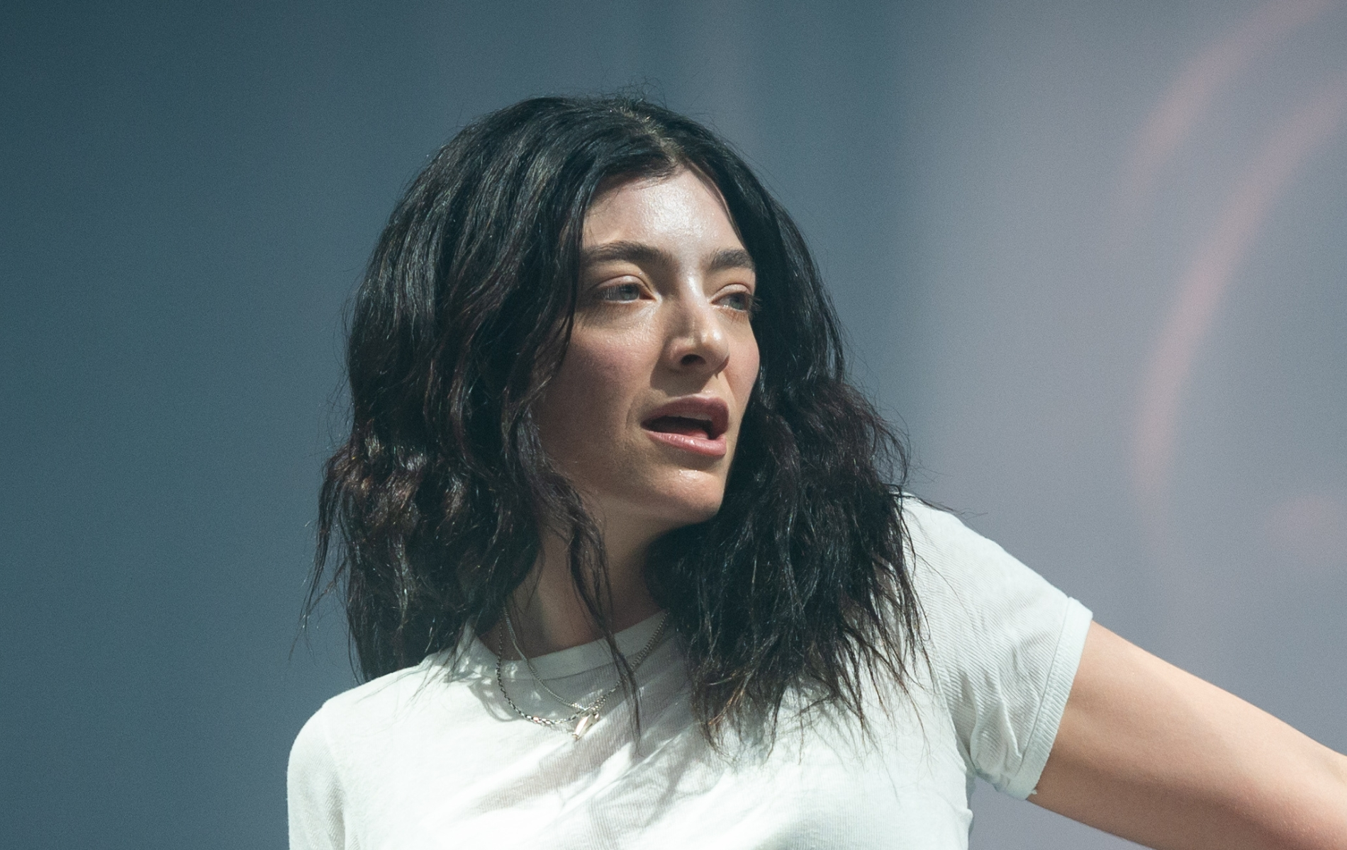 Lorde's 'Virgin' vinyl packaging features a picture of a vagina