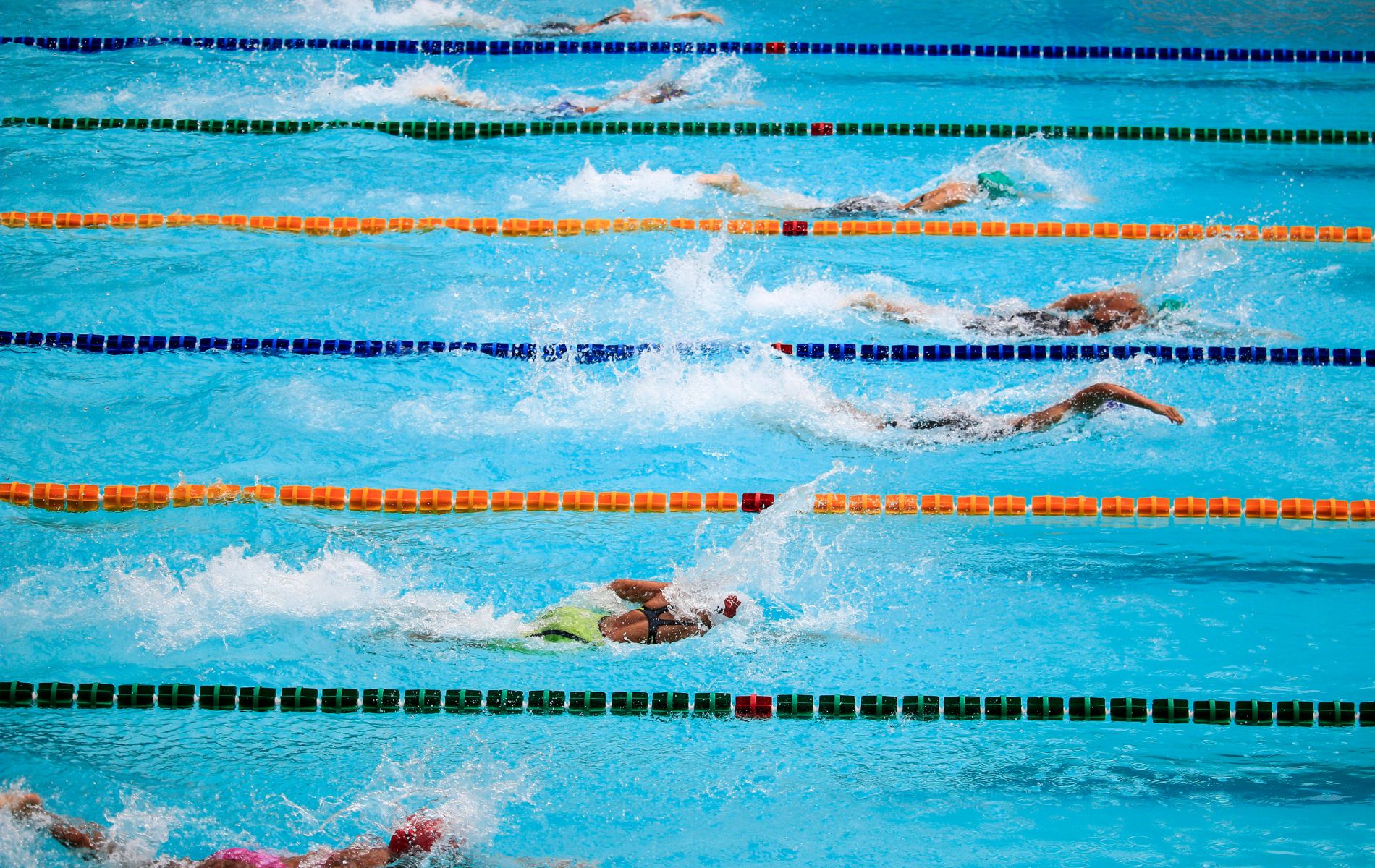 Fox News' Tyrus threatens to assault trans kids in swimming pools
