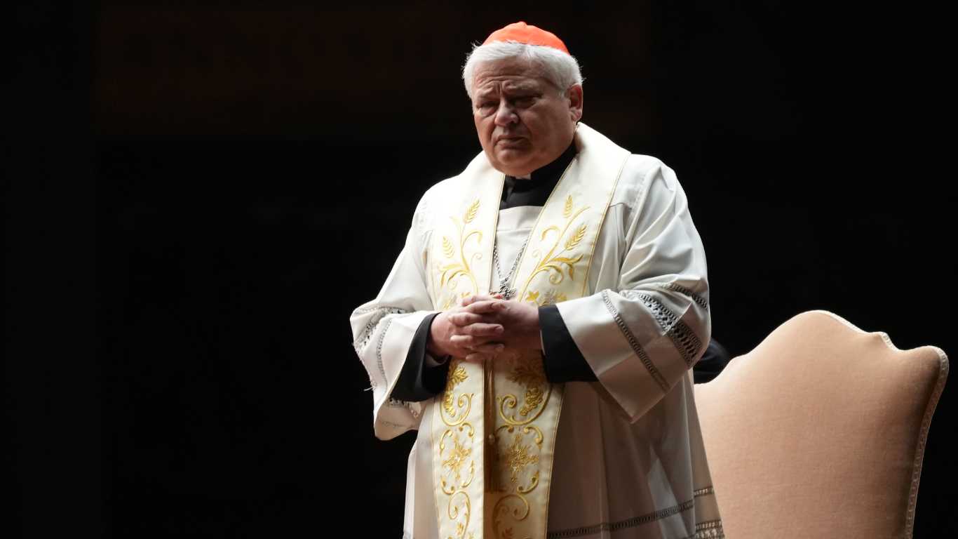Pope Leo did not 'snub' trans activists at event, says cardinal