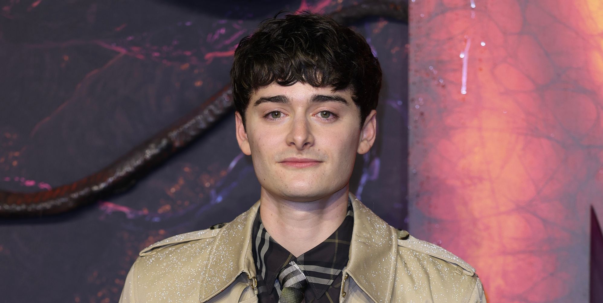 Noah Schnapp says he will be 'picky' with future LGBTQ roles