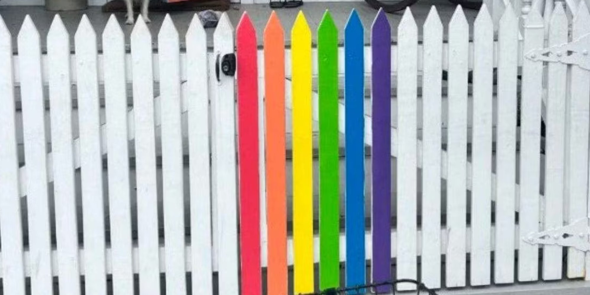 Lesbian couple sues Key West after being fined for rainbow fence